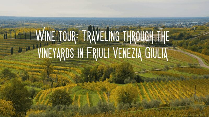 Wine tasting and winery tour in Friuli Venezia Giulia - Key Points