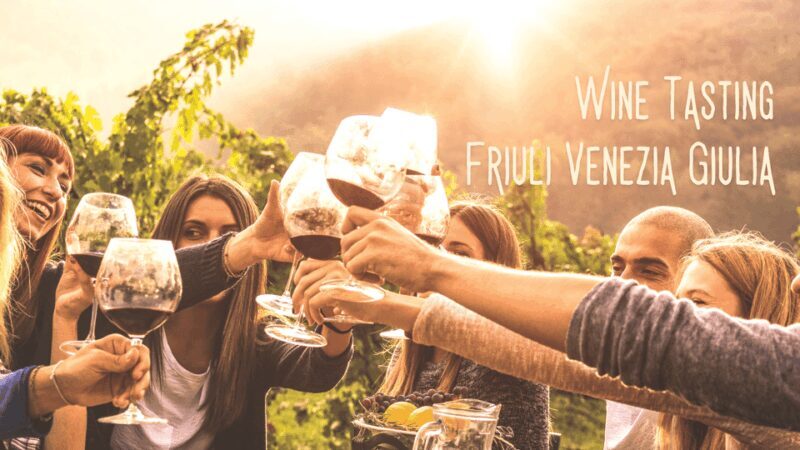 Wine tasting and winery tour in Friuli Venezia Giulia - Final Thoughts: Who Should Consider This Tour?