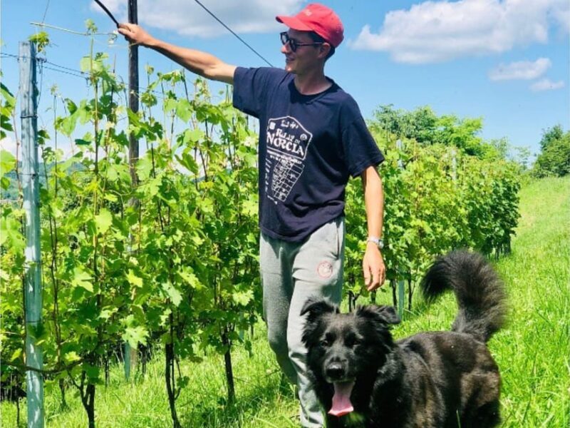 Wine Tasting and Winery Visit near Asti and Turin - An In-depth Look at What to Expect