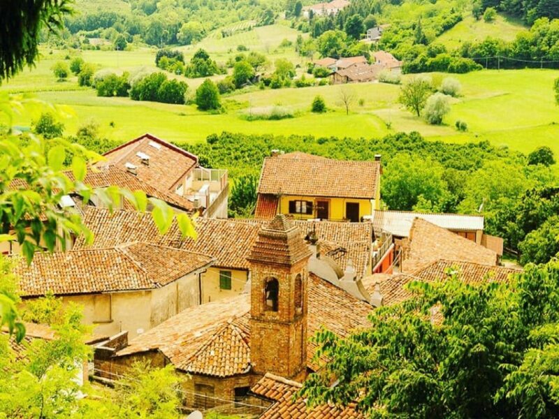 Wine Tasting and Winery Visit near Asti and Turin - Who Will Love This Tour?