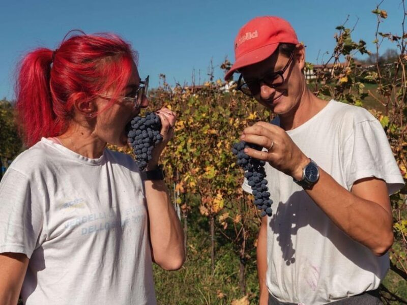 Wine Tasting and Winery Visit near Asti and Turin - The Sum Up
