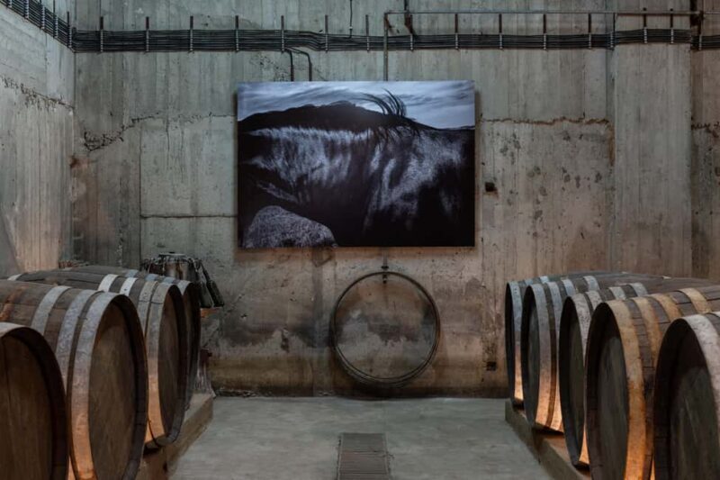 Wine Tasting at Paros Farming Community - Key Points