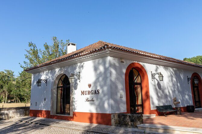 Wine tasting at Quinta das Murgas - The Itinerary in Detail