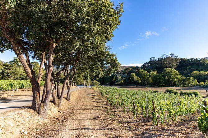 Wine tasting at Quinta das Murgas - The Setting and Accessibility