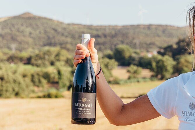 Wine tasting at Quinta das Murgas - The Sum Up