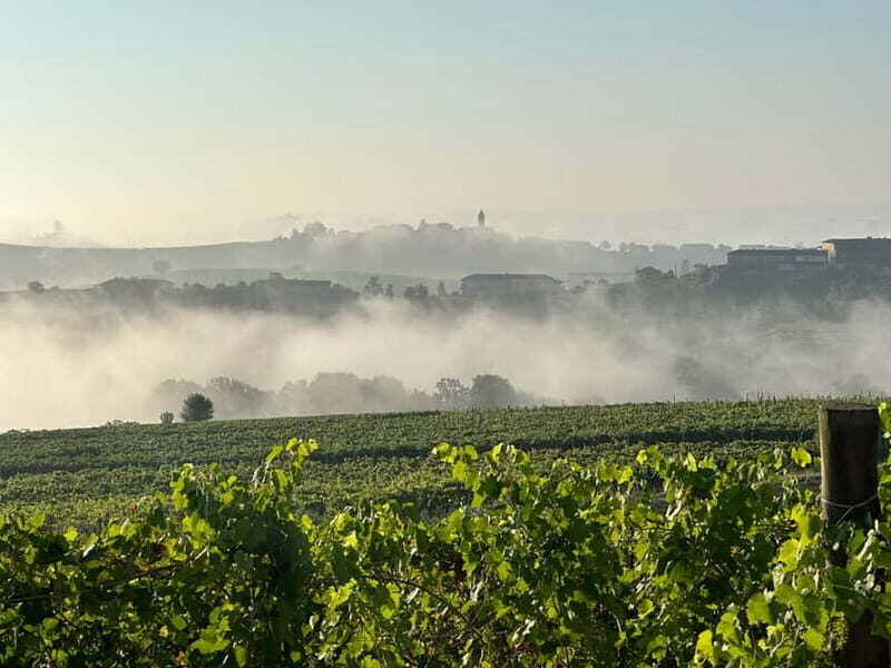 Wine tasting between Monferrato and Langhe - Key Points