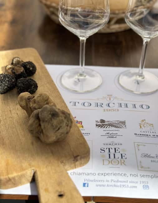 Wine tasting between Monferrato and Langhe - An In-Depth Look at the Experience