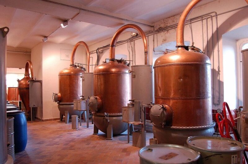 Wine Tasting, Cannes, Famous Designers and Perfume Factory - Who Should Consider This Experience?
