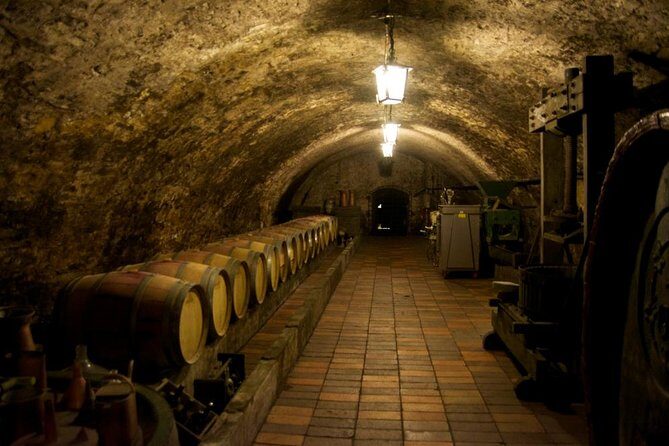 Wine Tasting Day Trip from Prague to Melnik - Key Points