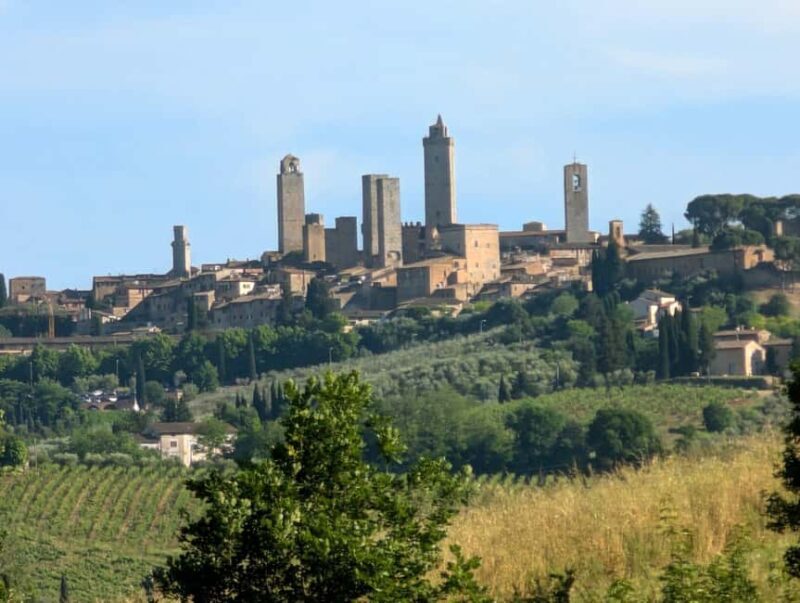 Wine Tasting - Essenza Toscana - What to Expect from the Wine Tasting Experience