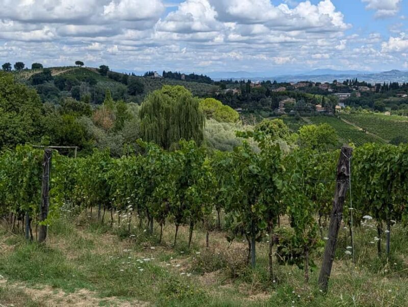 Wine Tasting - Essenza Toscana - FAQ: Your Questions About Essenza Toscana Answered
