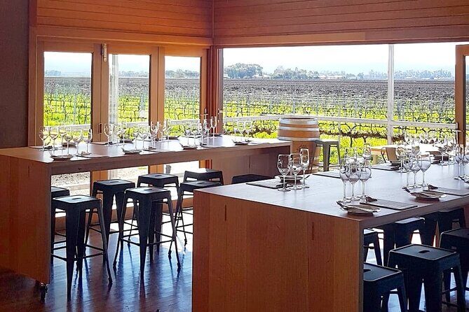Wine Tasting Experience - An In-Depth Look at the Experience