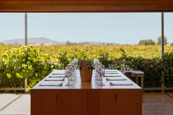Wine Tasting Experience - The Sum Up