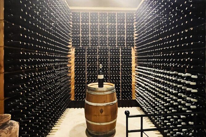 Wine Tasting Experience for Small Groups from Palermo - Authenticity and Educational Value