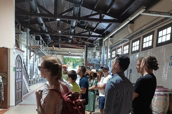 Wine Tasting Experience from Thessaloniki - The Authenticity and Value