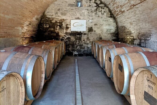 Wine Tasting Experience in Ponte Vecchio: Best Tuscany selection! - The Real Guest Experience
