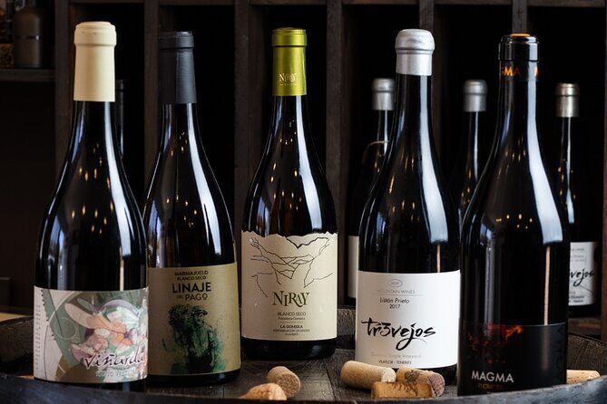 Wine Tasting Experience in Tenerife - Key Points