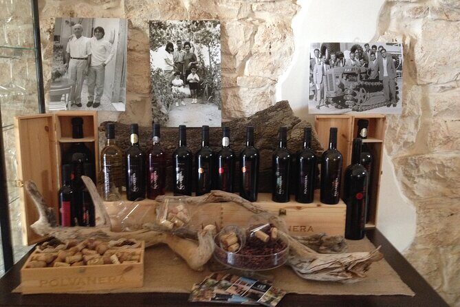 Wine tasting experience in the Apulian countryside - Key Points
