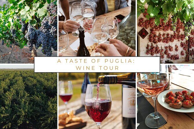 Wine tasting experience in the Apulian countryside - Who Will Love This Tour?