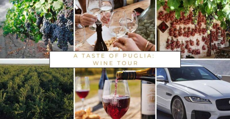 Wine tasting experience in the Apulian countryside! - The Setting: Apulia’s Vibrant Vineyards