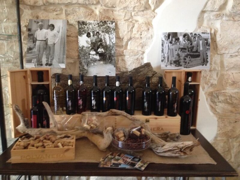 Wine tasting experience in the Apulian countryside! - Price and Value Consideration