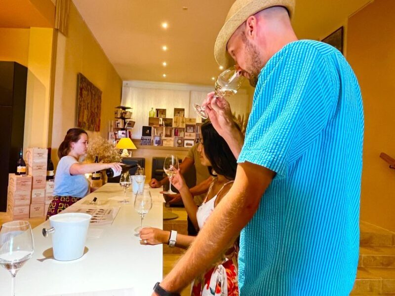 Wine tasting in Châteauneuf du Pape - Who Should Consider This Tour?