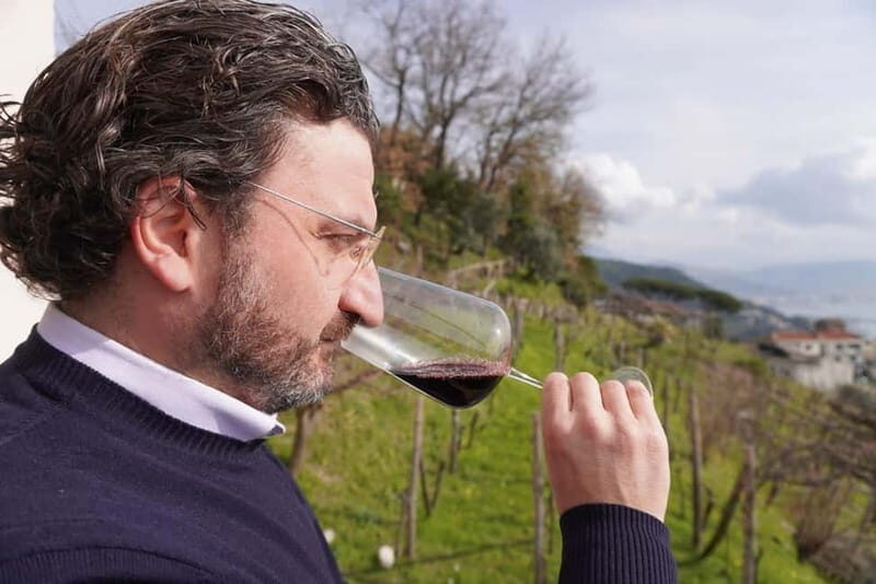 Wine tasting in Cilento with professional sommelier. - Key Points