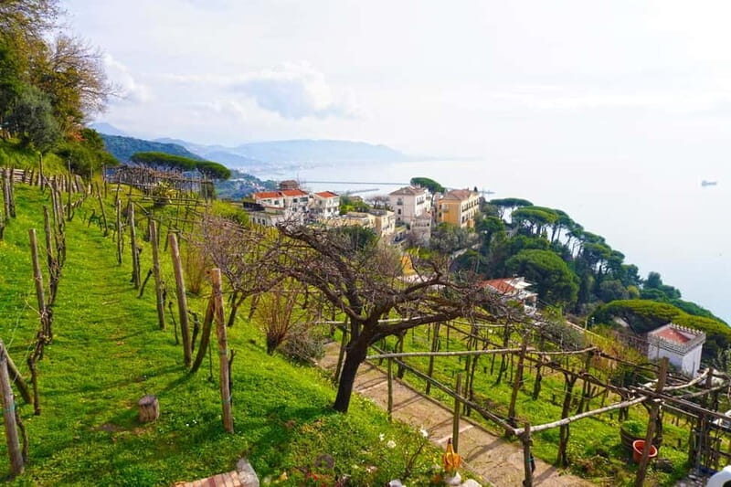 Wine tasting in Cilento with professional sommelier. - Why You Should Consider This Tour