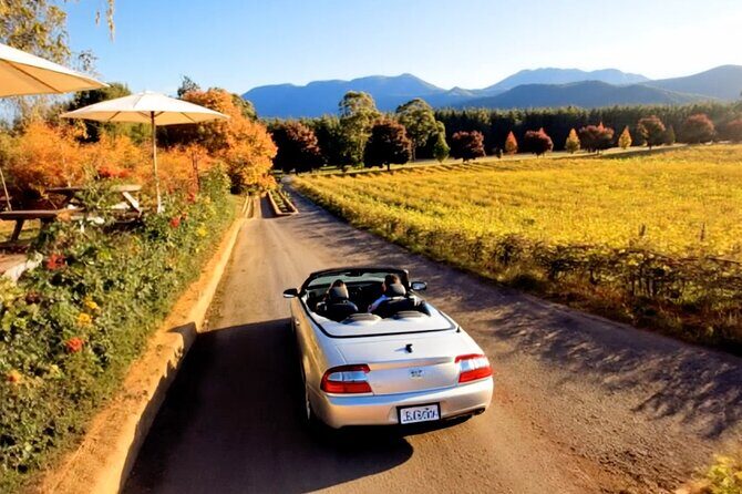 Wine Tasting in Gibbston Self Guided Audio Tour - FAQ – Practical Answers to Common Questions