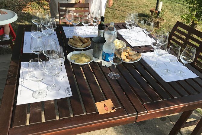 Wine tasting in Lucca "at home" with expert sommelier - 5 wines - Who Will Love This Experience?