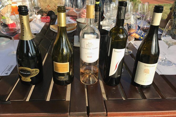 Wine tasting in Lucca "at home" with expert sommelier - 5 wines - Final Thoughts: Is It Worth It?
