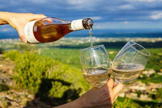 Wine Tasting in McLaren Vale - The Details of the McLaren Vale Wine Tour