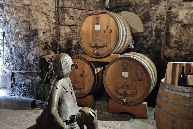 Wine Tasting in Montepulciano with Visit to the Vineyards Private Tour - Who Will Love This Tour?
