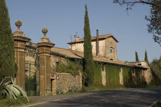 Wine tasting in Roman Countryside: 3-hour tour from Rome - The Value of This Tour