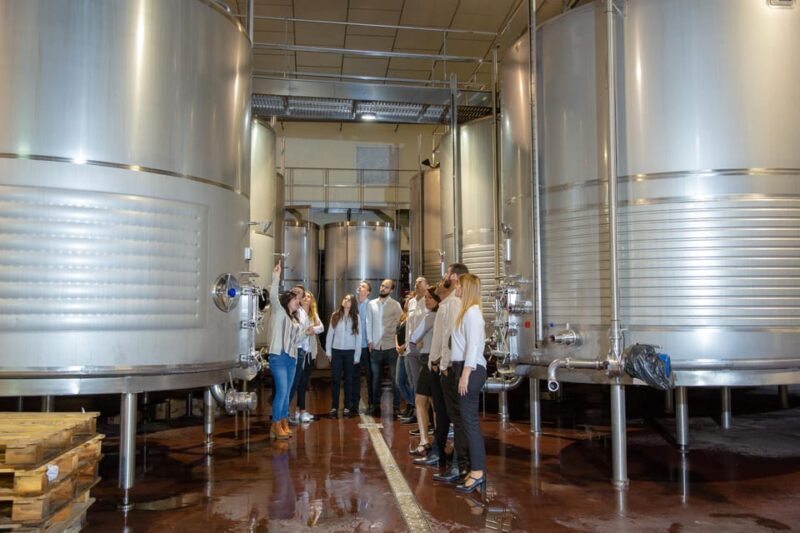 Wine tasting in the best winery in Spain from Alicante - Key Points