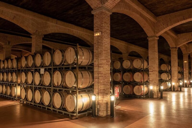 Wine tasting in the best winery in Spain from Alicante - In-Depth Exploration of the Experience