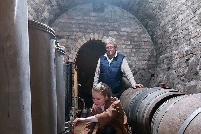 Wine Tasting in the Countryside from Budapest - Who Would Love This Tour?