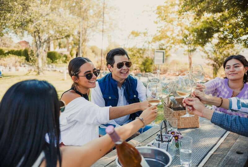Wine Tasting in the Gardens at Rondo del Valle with vineyard - Key Points