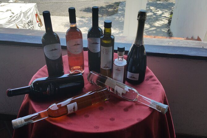 Wine tasting in the Vesuvius National Park - Exploring the Vesuvius Wine Tasting Tour