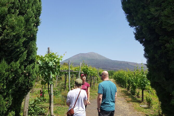 Wine tasting in the Vesuvius National Park - Final Thoughts