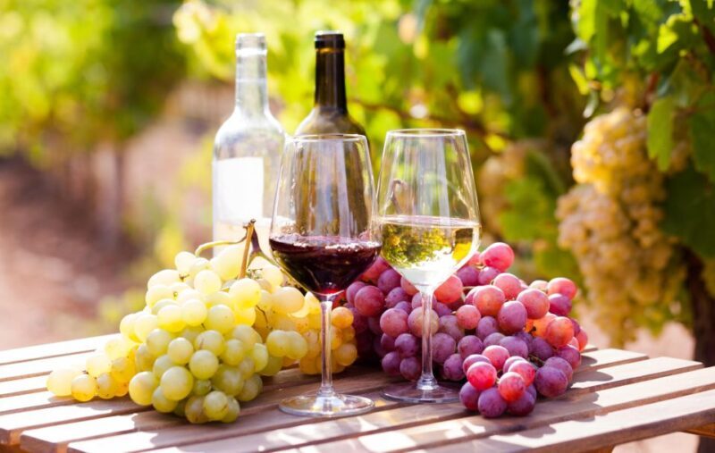 Wine tasting in the Vesuvius National Park - Key Points