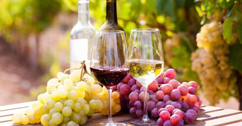 Wine tasting in the Vesuvius National Park - An In-Depth Look at the Vesuvius Wine Tour Experience