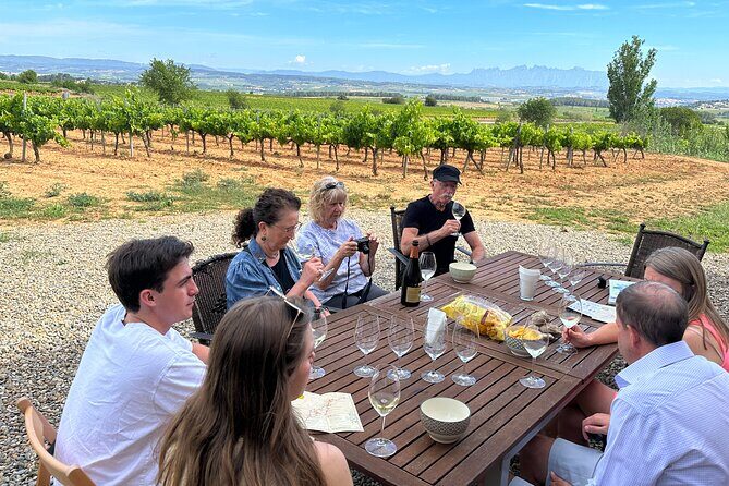 Wine Tasting in Three Boutique Wineries Tour - Max 8 people - Exploring the Tours Highlights and What You’ll Experience