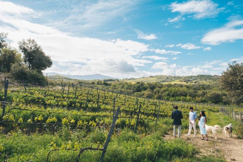 Wine Tasting in Toscana with Priority Access - Practical Details and Value