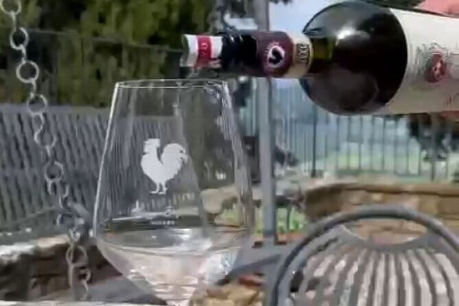 Wine tasting in TWO family wineries around Florence - Practical Aspects That Matter