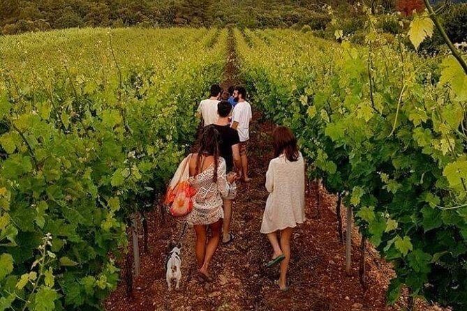 Wine tasting in Vieste - In The Sum Up: Is It Worth It?