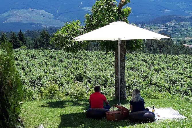 Wine Tasting & Lunch from Porto | Quinta de Santa Cristina - An In-Depth Look at the Tour Itself