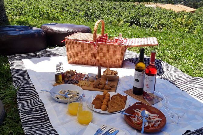 Wine Tasting & Lunch from Porto | Quinta de Santa Cristina - Who Will Love This Tour?