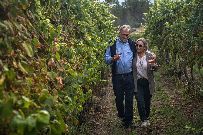 Wine Tasting & Lunch from Porto | Quinta de Santa Cristina - Final Thoughts
