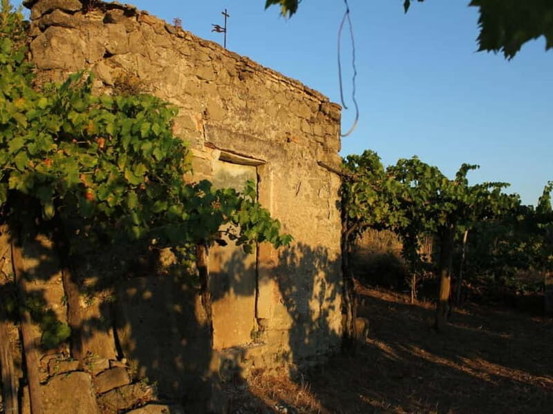 Wine Tasting & Medieval Town Visit at Castelli Romani - Key Points